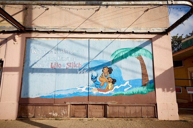 Kauai Full Day Tour with Cruise ships or Kauai Airport Pickup - Who Will Love This Tour?