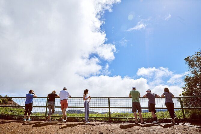 Kauai Full Day Tour with Cruise ships or Kauai Airport Pickup - The Sum Up