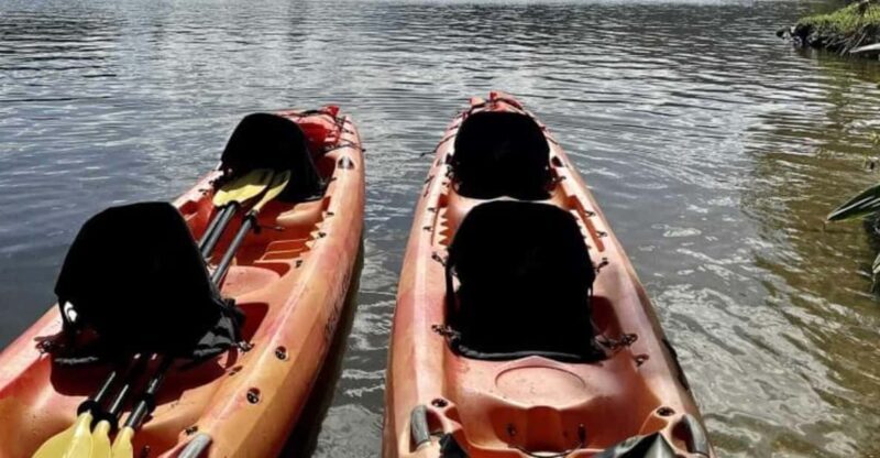 Kauai: Guided Kayak and Hike to Secret Falls - An In-Depth Look at the Tour Experience