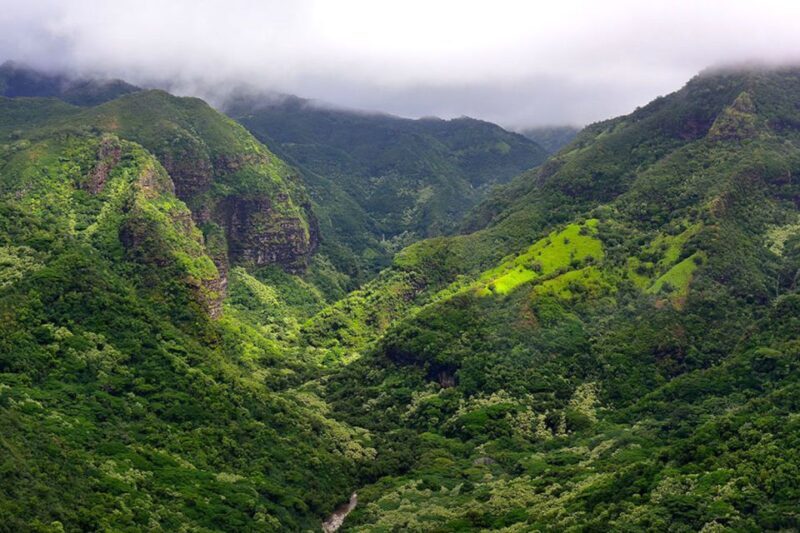 Kauai: Highlights & Movie Sites - A Deep Dive into the Kauai Highlights & Movie Sites Tour