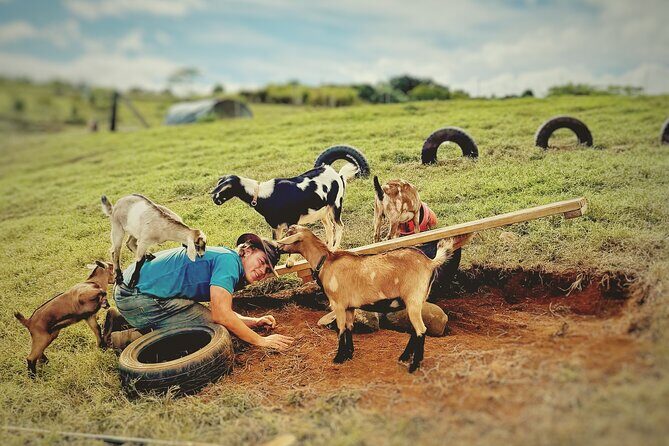 Kauai Private Baby Farm Animal Experience & Micro Dairy Immersion - Why This Farm Experience Stands Out