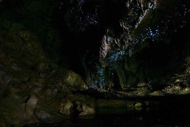 Kawiti Family Glowworm Caves Guided Tour in Bay of Islands - Key Points