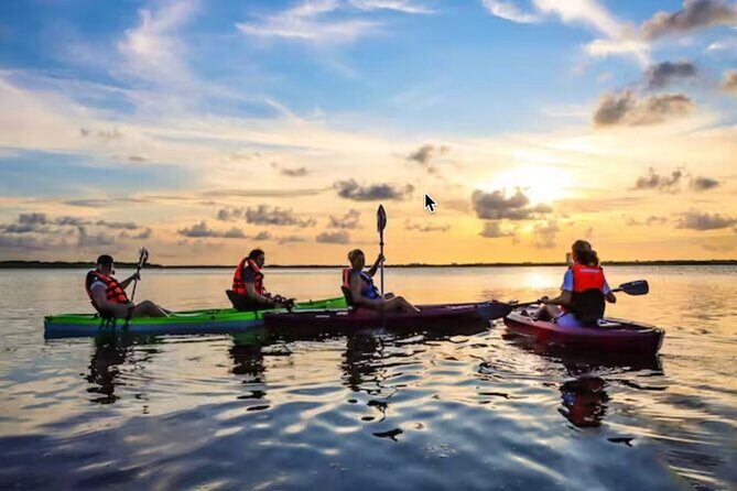 Kayak Activity in Nichupte Lagoon opt. Roundtrip transportation - What to Expect on the Nichupte Lagoon Sunset Kayak Tour