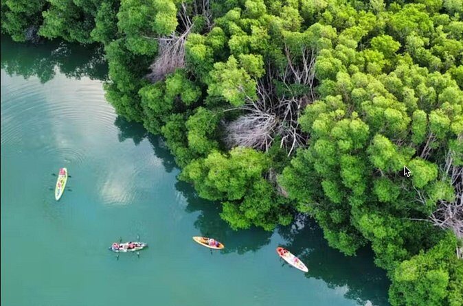Kayak Activity in Nichupte Lagoon opt. Roundtrip transportation - The Sum Up