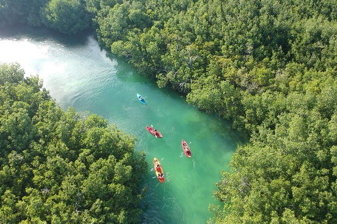 Kayak adventure through Laguna Nichupté in Cancun - The Value and Real Experience