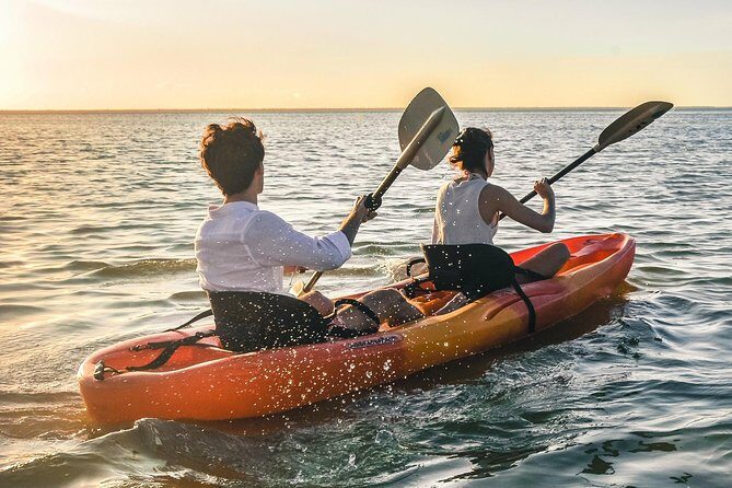 Kayak adventure through Laguna Nichupté in Cancun - Who Should Book This Tour?