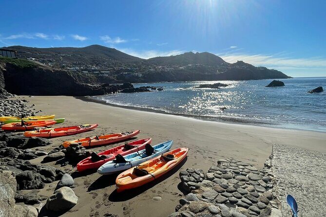 Kayak Adventure to La Bufadora Blowhole Private Shore Excursion - Kayak Adventure to La Bufadora Blowhole Private Shore Excursion: An Authentic and Thrilling Experience