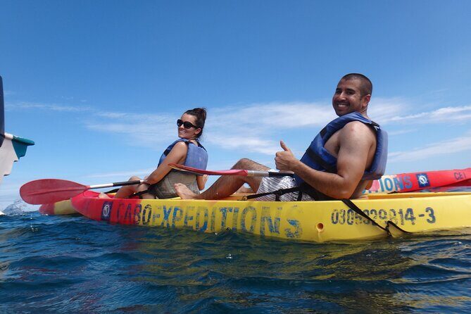 Kayak and Snorkel Discovery Tour in Los Cabos - Who Will Love This Tour?