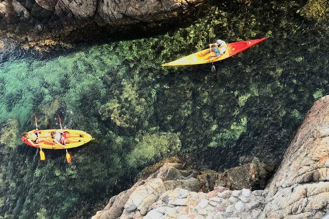 Kayak excursion in Playa de Aro - Pricing and Value