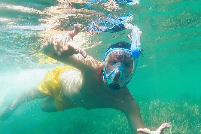 Kayak excursion to Cova dels Coloms from Platja Mascarat - What to Expect from the Kayak Excursion to Cova dels Coloms