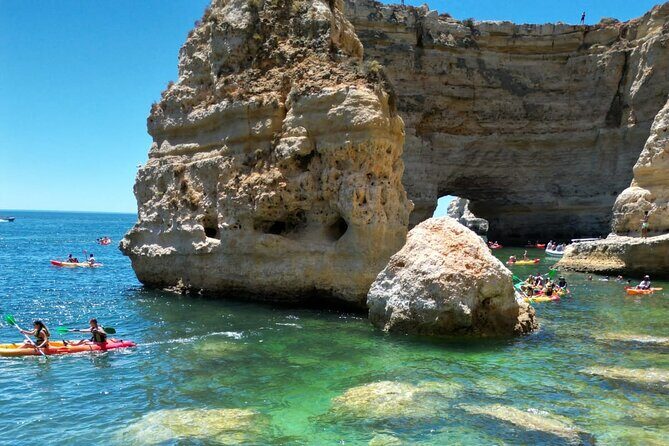 Kayak Experience with a Local - What the Reviews Say