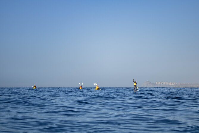 Kayak from Viudas Beach to Chileno Bay & Snorkel + Beach Time - FAQ