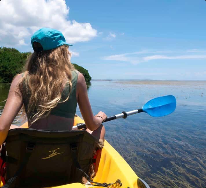 Kayak + Guided Snorkel & Morning Sail - The Value Proposition