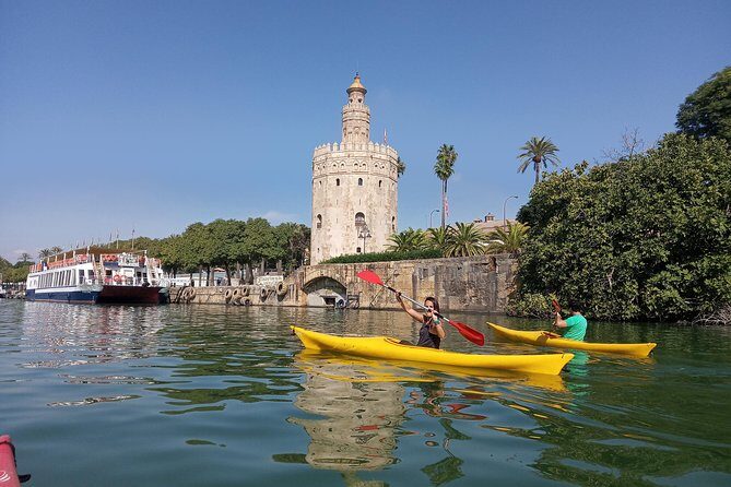 Kayak Guided Tours - Key Points