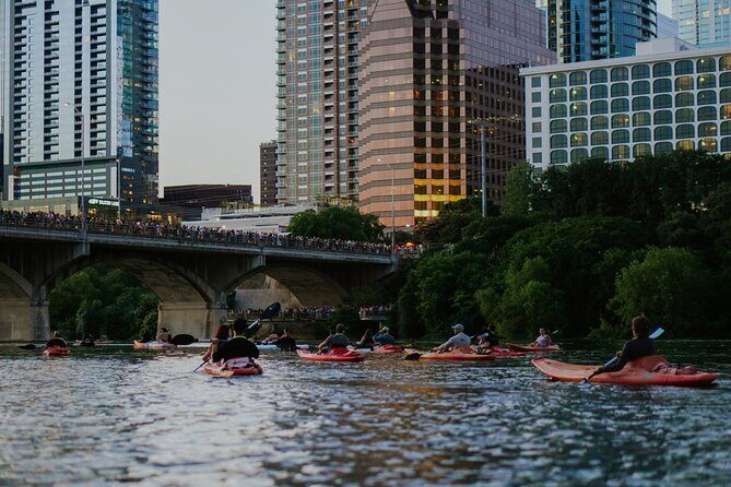 Kayak or Paddle Board Sunset Bat Tour - FAQs