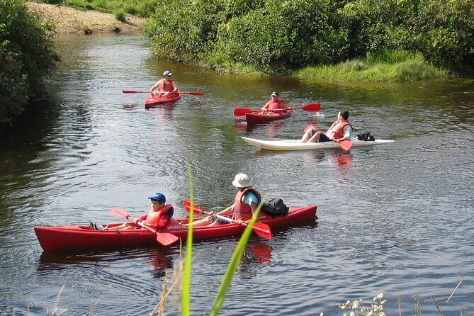Kayak/Paddleboard Rouge River - Self Guided Descent - An Overview of the Rouge River Self-Guided Experience