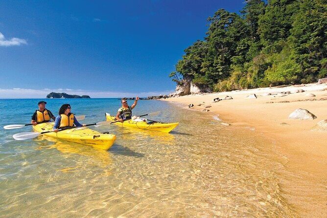 Kayak & Pitt Head Nature Loop - Guided Kayak & Unguided Walk - New Zealand - What Travelers Say