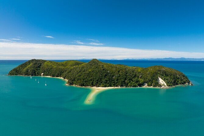 Kayak & Pitt Head Nature Loop - Guided Kayak & Unguided Walk - New Zealand - The Sum Up