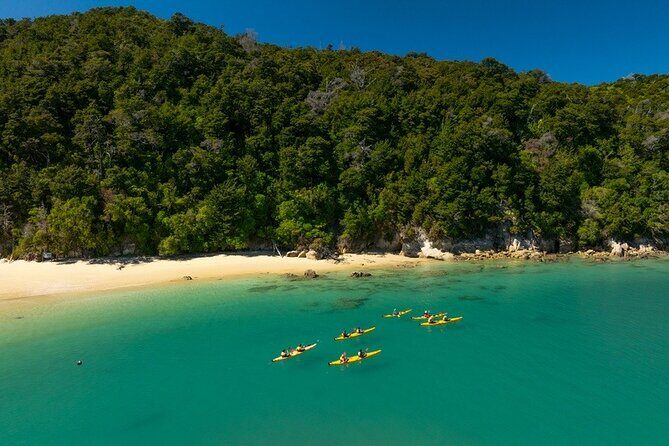 Kayak & Pitt Head Nature Loop - Guided Kayak & Unguided Walk - New Zealand - FAQ