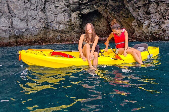 Kayak Safari with Dolphin and Turtle Watching in Guaza - Why Choose the Kayak Safari in Guaza?