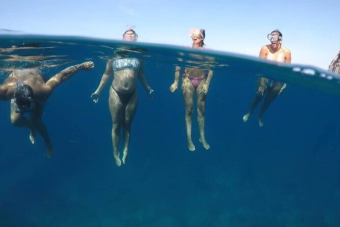 Kayak Safari with Dolphin and Turtle Watching in Guaza - The Realities & Considerations