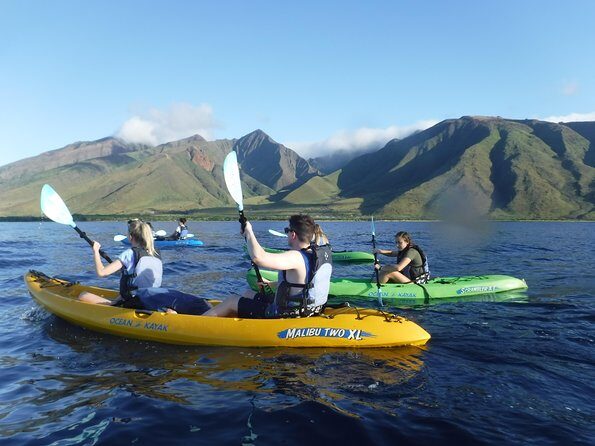 Kayak, Snorkel and Surf Package - What to Expect: A Truly Packed Day on Maui
