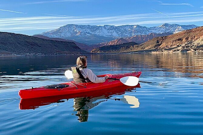 Kayak/SUP Tour: Birds, Beavers, Turtles, maybe even Cliff Jumping - Authentic Insights from Past Participants  
