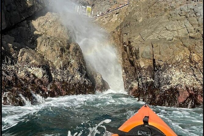 Kayak The Jacket and Flea market Private Tour - Final Thoughts