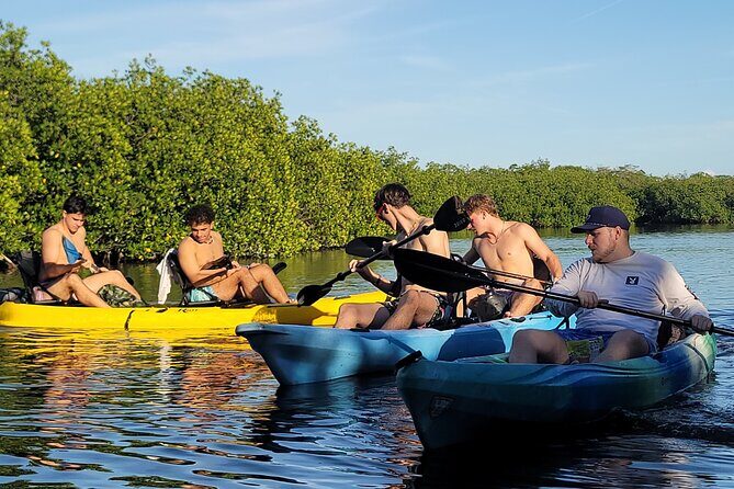 Kayak through Mangrove Forests in the Florida Keys - Exploring the Coastal Ecosystem of Key Largo