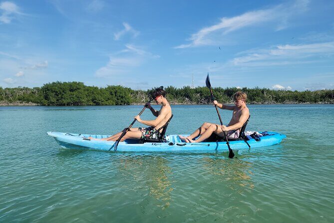 Kayak through Mangrove Forests in the Florida Keys - The Experience: What You’ll Take Away