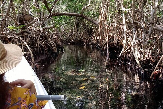 kayak through mangroves to secret beach - Kayak Through Mangroves to a Secret Beach: An Authentic Yucatán Experience