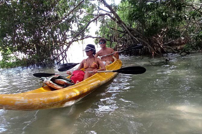 kayak through mangroves to secret beach - Authentic Insights from Reviewers