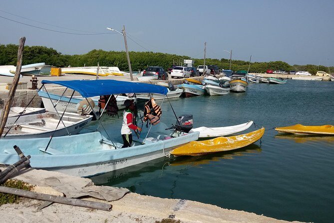 kayak through mangroves to secret beach - The Sum Up: Is This Tour Right for You?