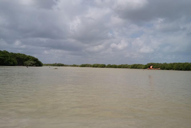 kayak through mangroves to secret beach - Frequently Asked Questions