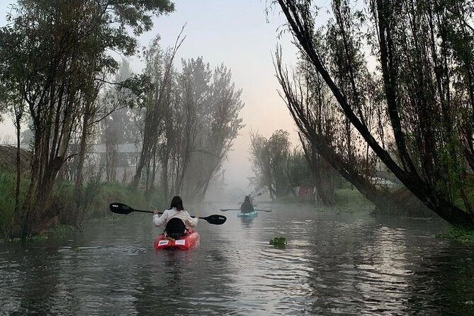 Kayak to the Island of the dolls, Transport and breakfast - Exploring the Xochimilco Canals by Kayak