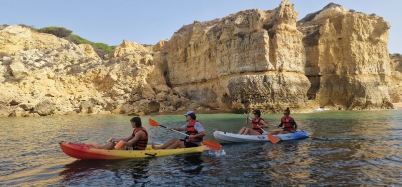 Kayak tour Albufeira. - What to Expect and Why It Matters
