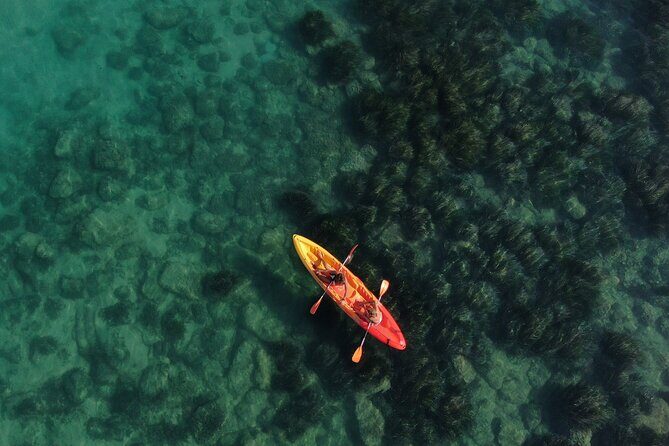 Kayak Tour: From Cala Manbrù to Torre Salsa Reserve - Key Points