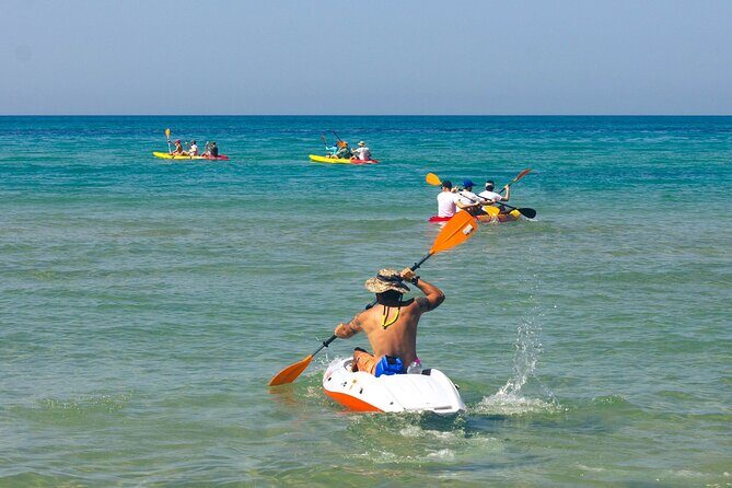 Kayak Tour: From Cala Manbrù to Torre Salsa Reserve - The Sum Up: Is This Tour Right for You?