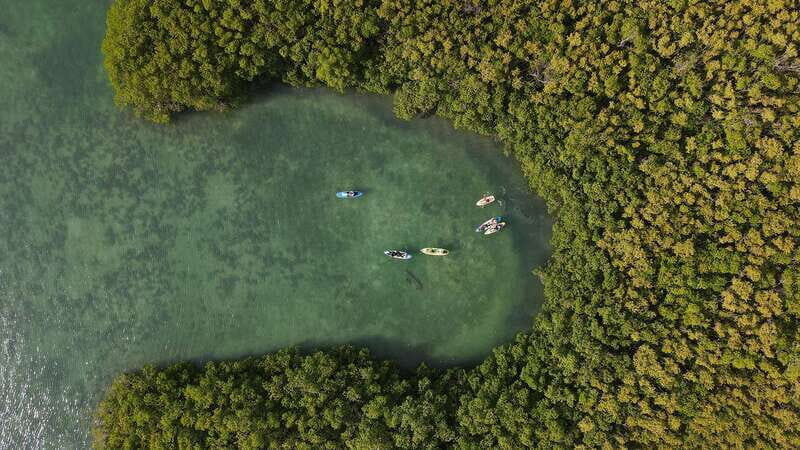 Kayak Tour in Cancun with Photos included - Key Points