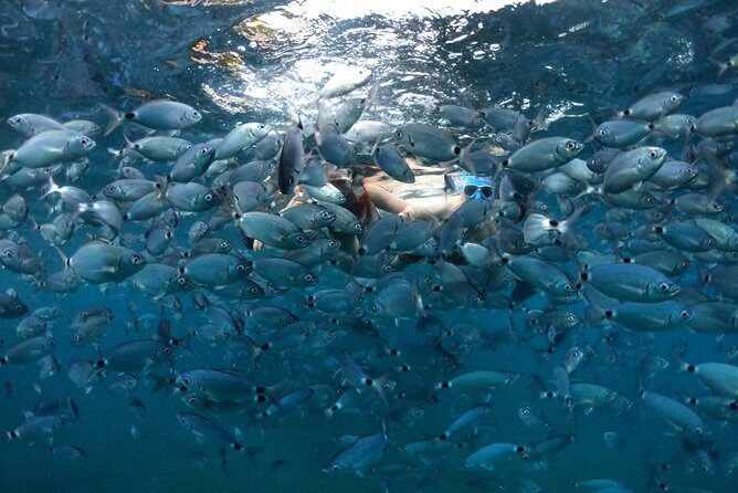 Kayak tour in Pula to Valley of Tears/free drinks+photos included - Exploring the Itinerary: What You Can Expect