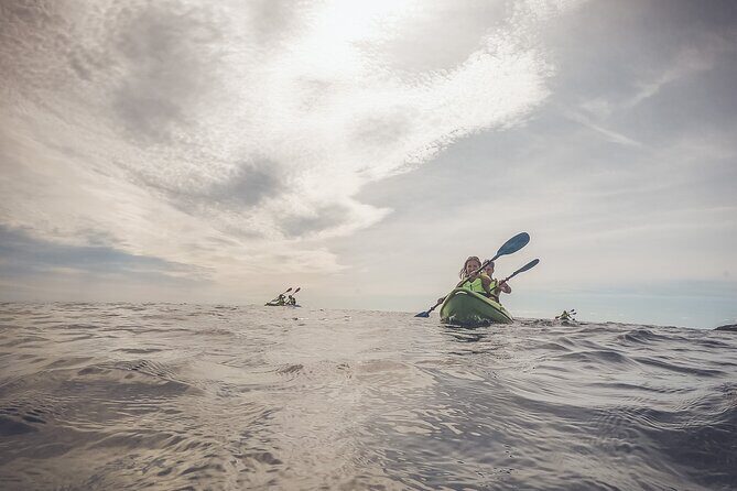 Kayak tour in Pula to Valley of Tears/free drinks+photos included - Who Is This Tour Best For?