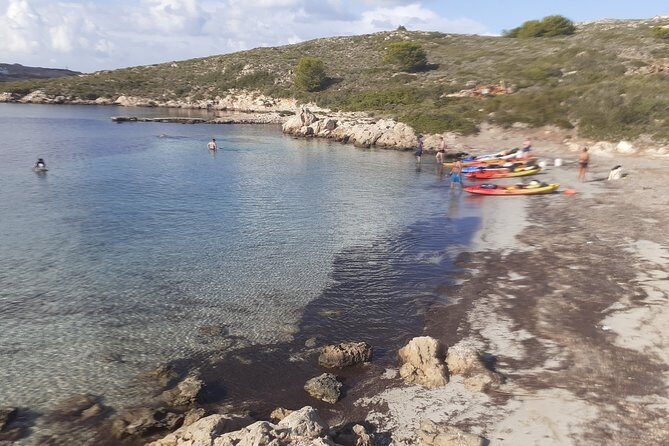 Kayak Tour in the Marine Reserve ! - The Itinerary: What You’ll See and Do