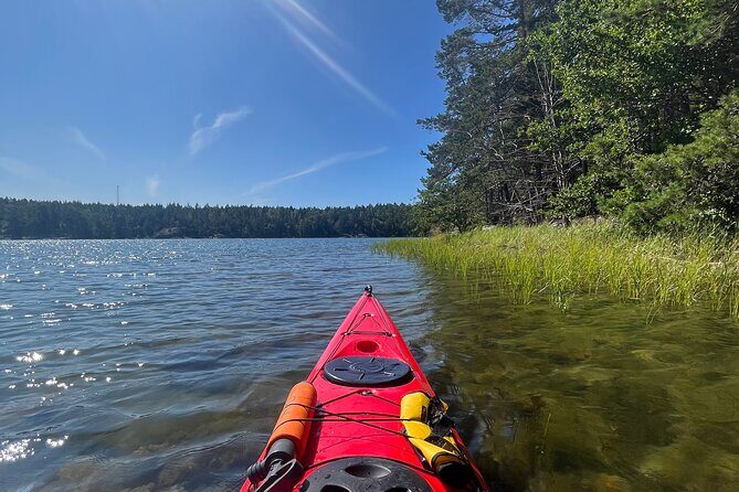 Kayak Tour in the Stockholm Archipelago with Lunch Meal - Who Would Love This Experience?