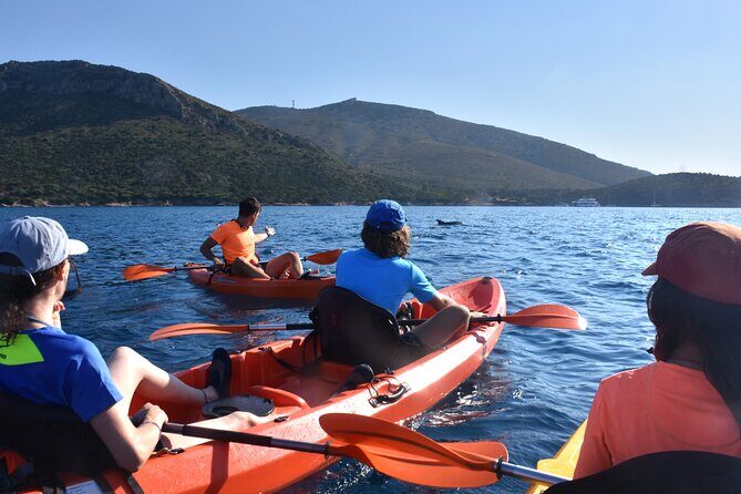 Kayak tour with aperitif and dolphins - The Itinerary: A Day in Sardinia’s Coastal Wonderland