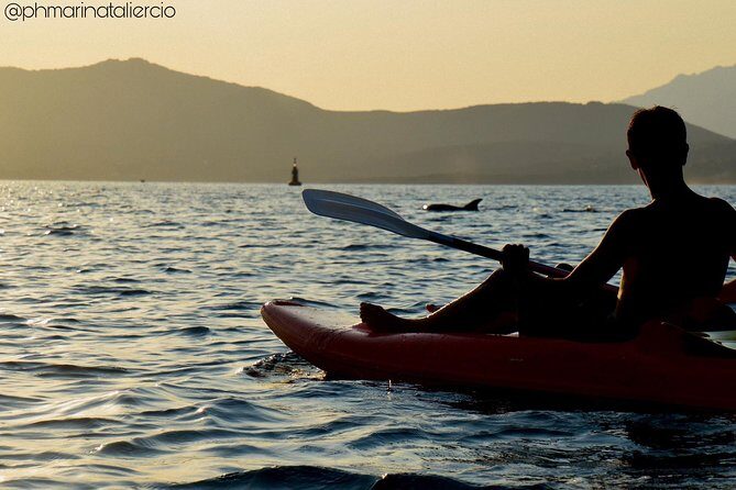 Kayak tour with aperitif and dolphins - The Sum Up