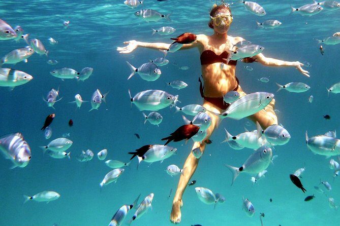 Kayak Tour with Snorkeling and Local Aperitif - Practical Details and Logistics