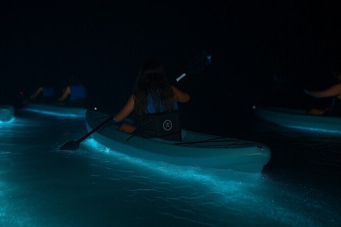 Kayak Tours and Rentals. Dolphins, Manatees, and Bioluminescence! - Key Points