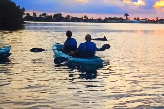 Kayak Tours and Rentals. Dolphins, Manatees, and Bioluminescence! - An In-Depth Look at the Tour Experience