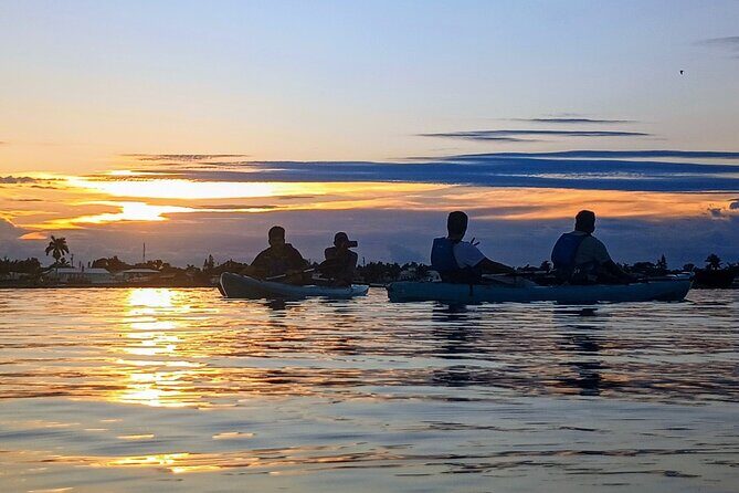 Kayak Tours and Rentals. Dolphins, Manatees, and Bioluminescence! - Frequently Asked Questions
