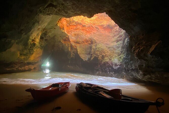 Kayak Tours with Amazing Caves, sea life and Marine Biologist . - Why This Tour Offers Great Value